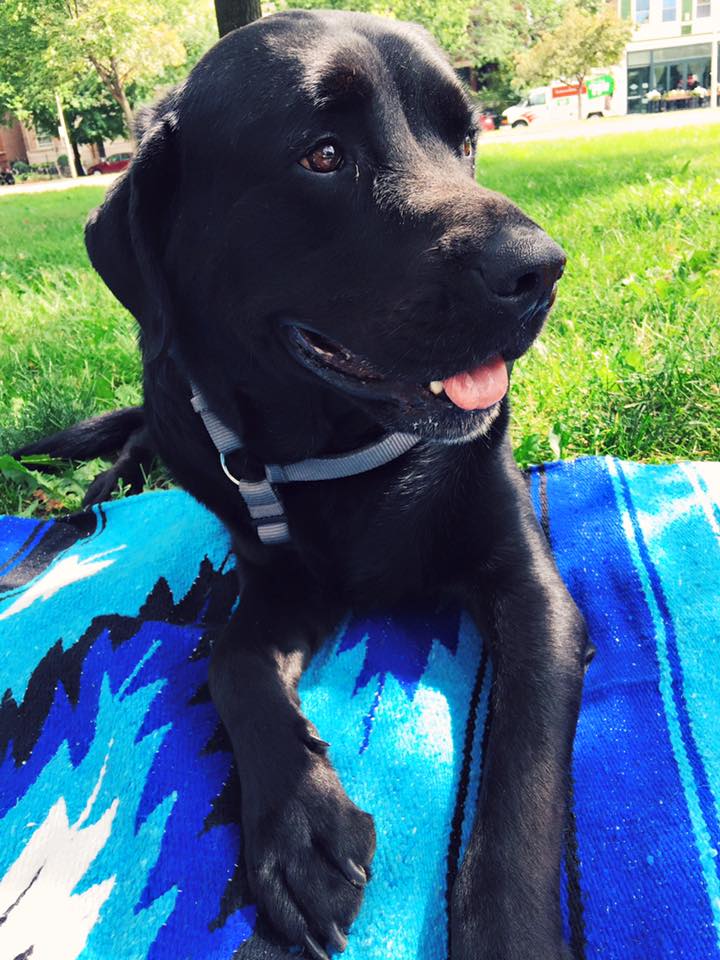 Daniel Mackey - Chicago based software engineer - Javascript, Node ...